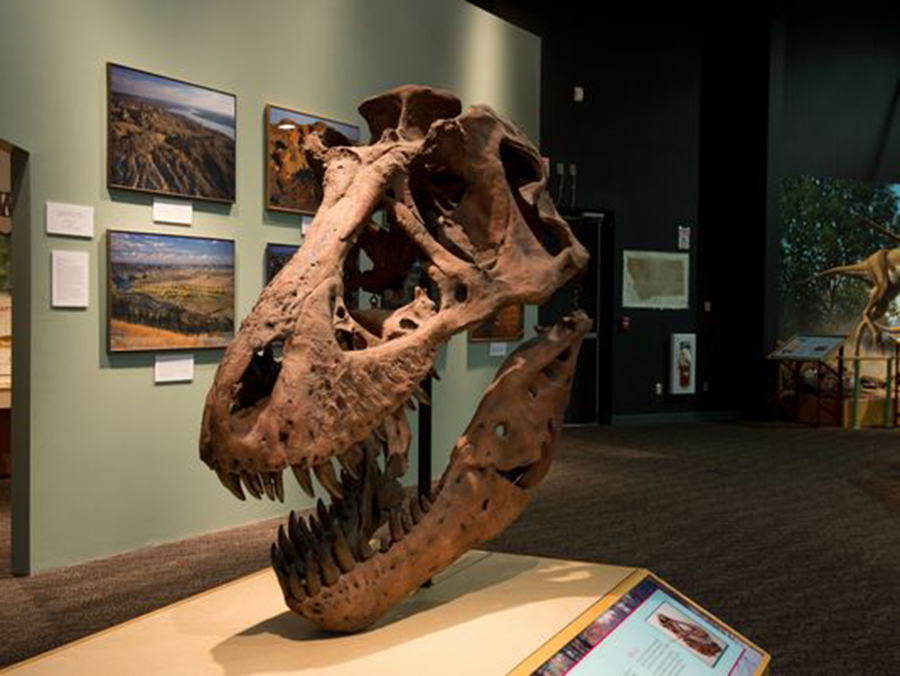Dinosaurs in Real-Life: Where to Find Them Around the US | Paleontology ...