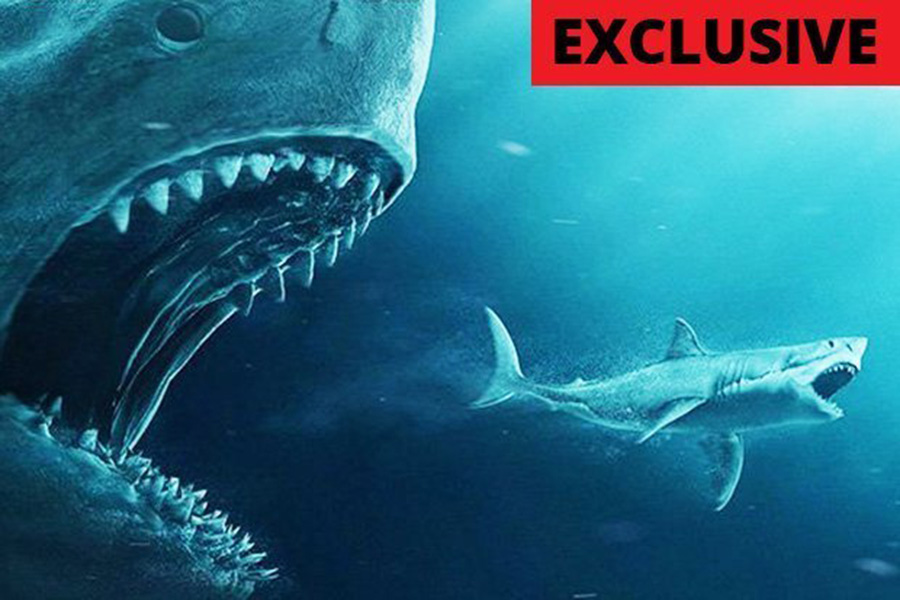 Great White Sharks Were Eaten by Megalodon: ‘EVERYTHING Was Prey’ for ...
