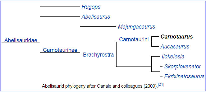 Carnotaurus | Paleontology World