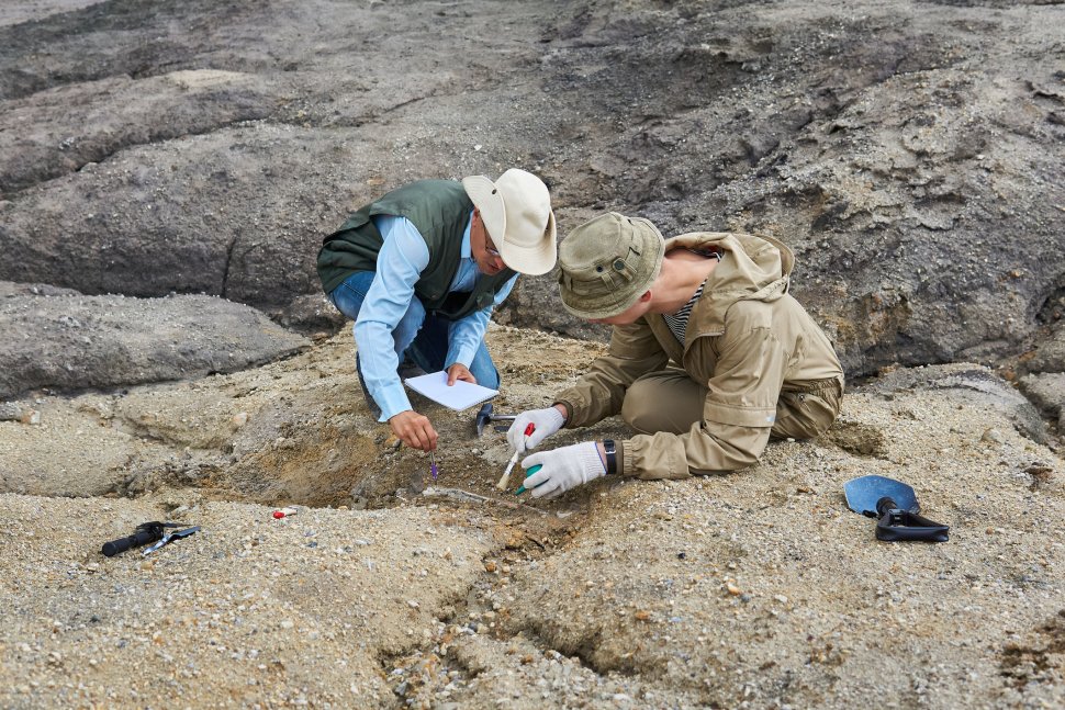 What Paleontology Is and How to Work in This Field | Paleontology World