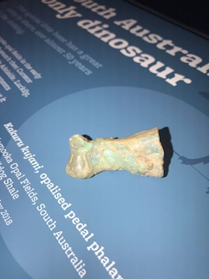 Rare Dinosaur Fossil Discovered on Internet After Disappearing for ...