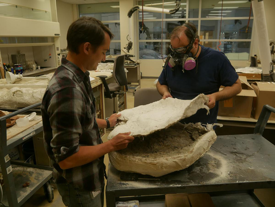 Preserving History: Museum Unveils New Dinosaur Footprint Exhibit ...